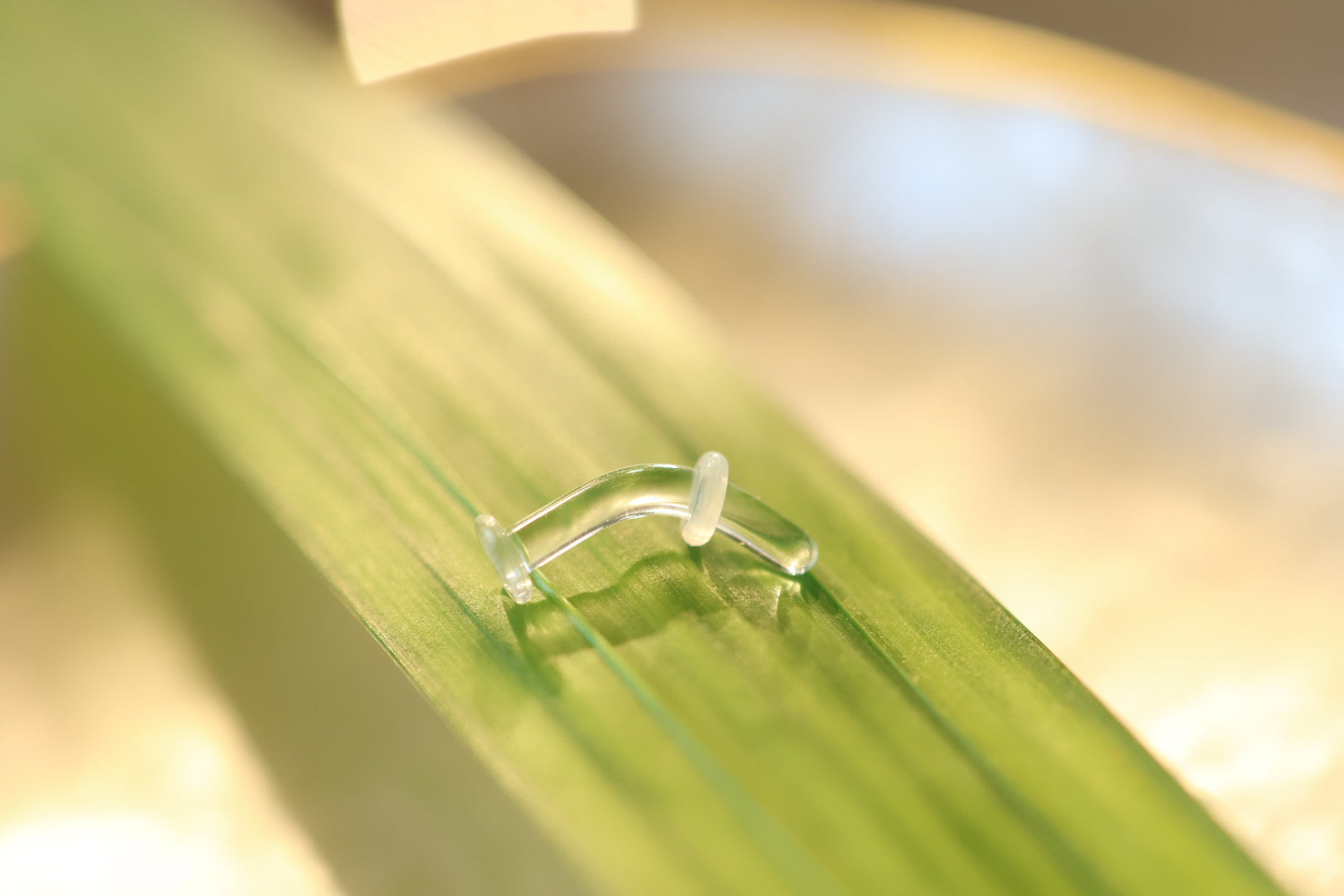 Glass Retainers – The Piercing Spot